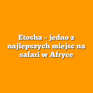 Etosha – jedno z najlepszych miejsc na safari w Afryce – Legal Nomads ...